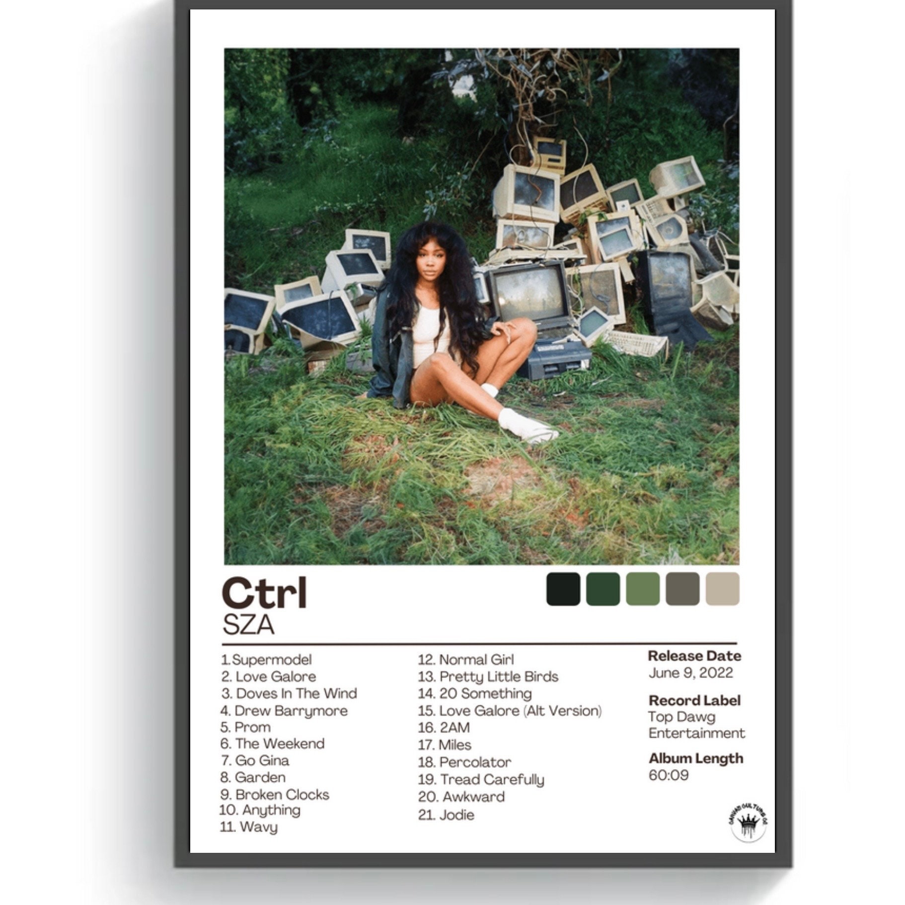 Ctrl SZA Album Cover Poster, Music Poster, SZA, Wall Art, Poster - Etsy Australia