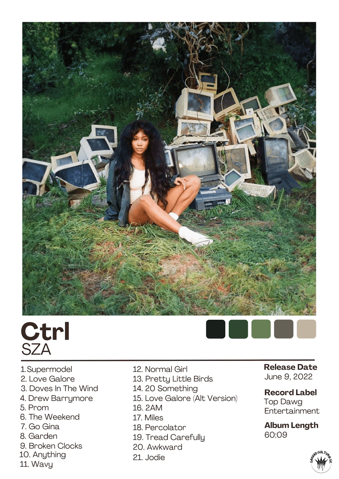 Ctrl SZA Album Cover Poster, Music Poster, SZA, Wall Art, Poster - Etsy Australia