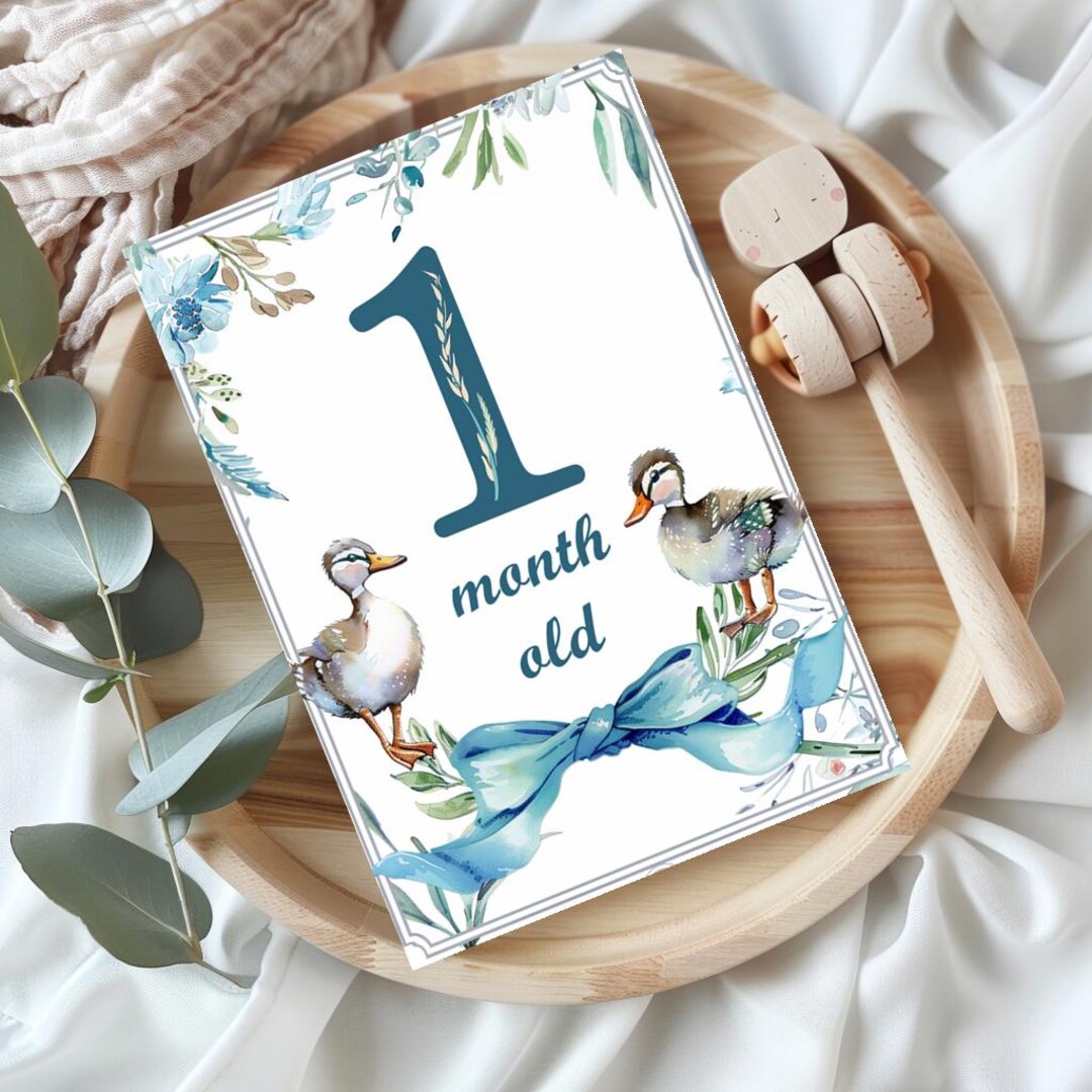 1 Year Milestone Card Set Watercolor Duck Milestone Cards Boy Baby Girl ...