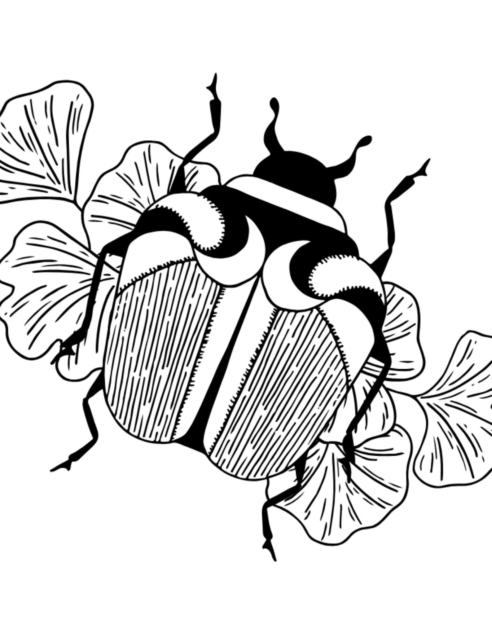 10 Bug and Butterfly Themed Coloring Pages. Printable Busy Box ...