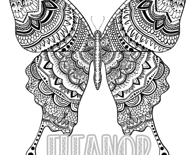 10 Bug and Butterfly Themed Coloring Pages. Printable Busy Box ...