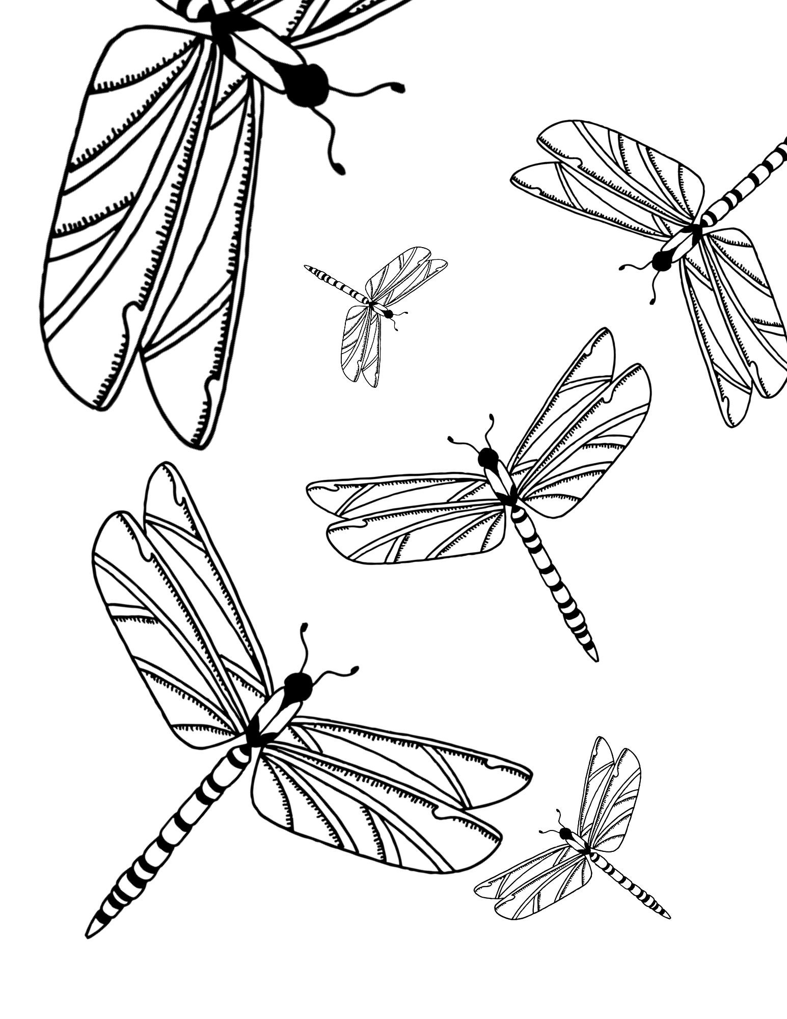 10 Bug and Butterfly Themed Coloring Pages. Printable Busy Box ...