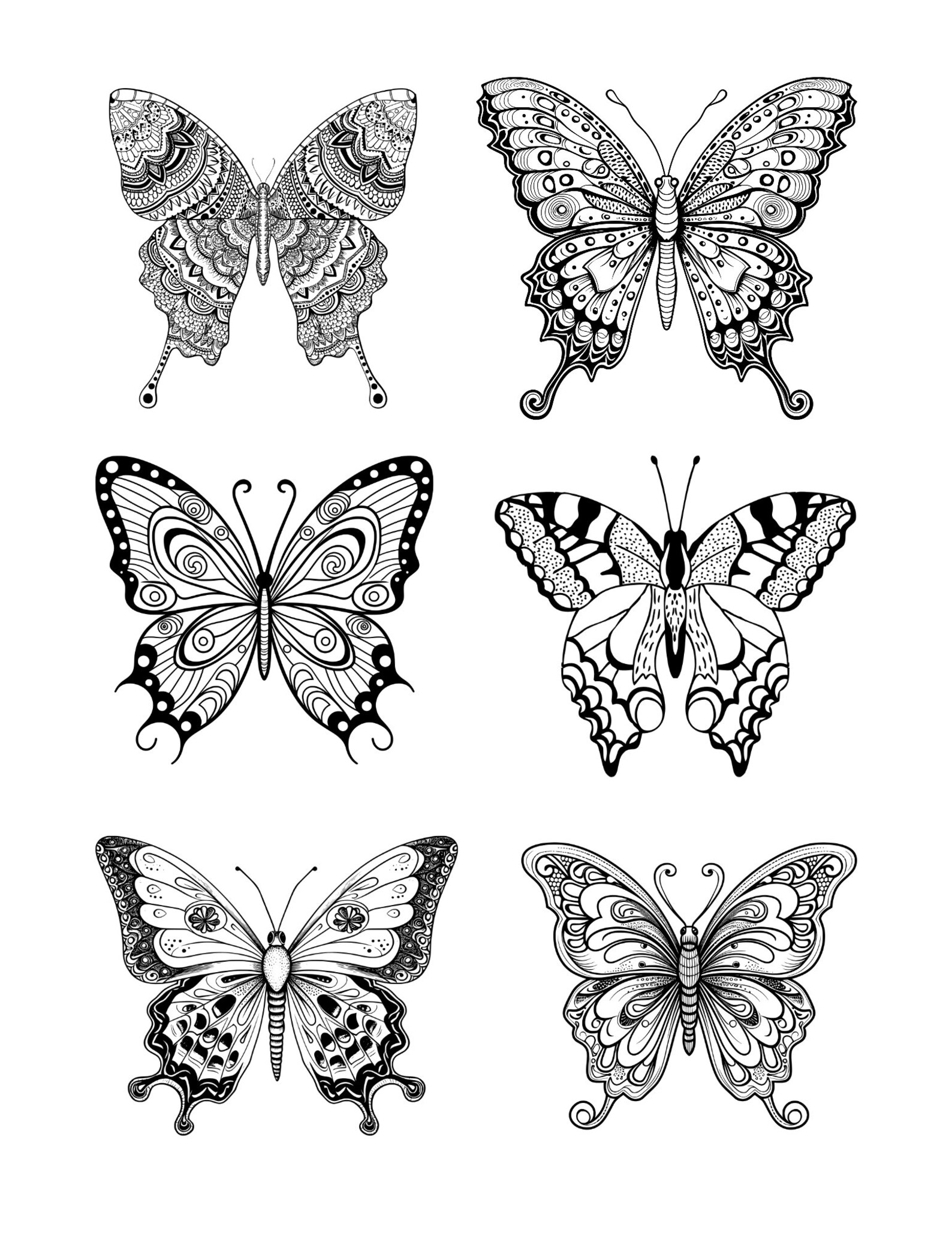 10 Bug and Butterfly Themed Coloring Pages. Printable Busy Box ...