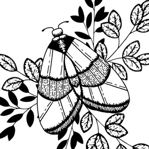 10 Bug and Butterfly Themed Coloring Pages. Printable Busy Box ...