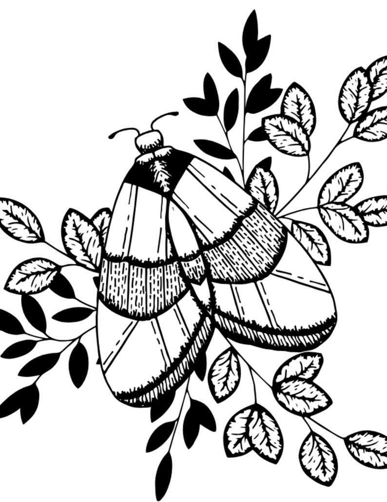 10 Bug and Butterfly Themed Coloring Pages. Printable Busy Box ...