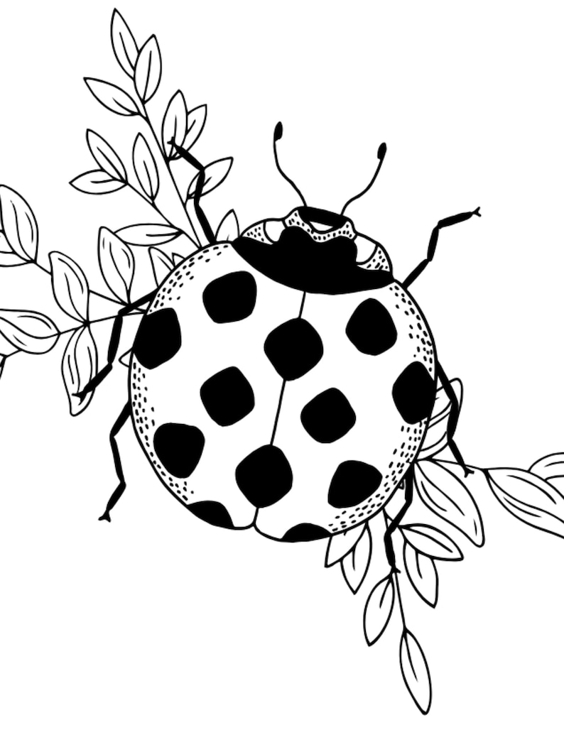 10 Bug and Butterfly Themed Coloring Pages. Printable Busy Box ...