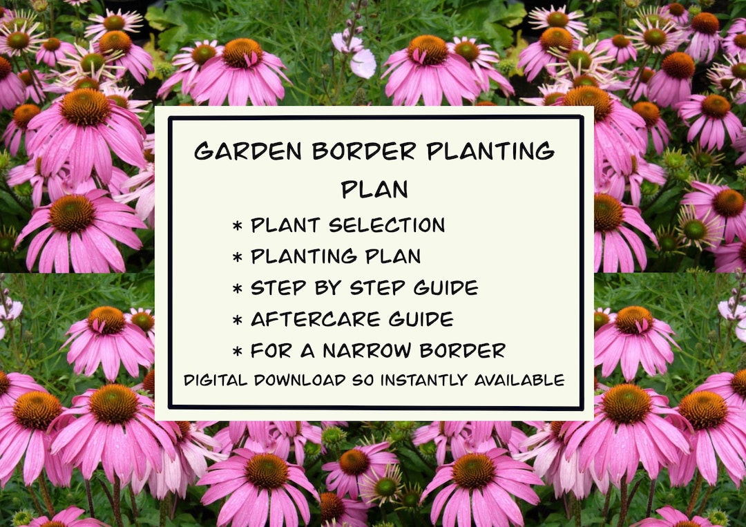 English Cottage Garden Border Planting Plan for Narrow Border (digital ...