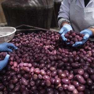 Herbed Peruvian Botija Black Dried Olives pitted - Etsy