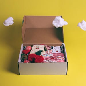 The “bright and Cherry” Sunshine Box , Care Package, Friend Gift ...