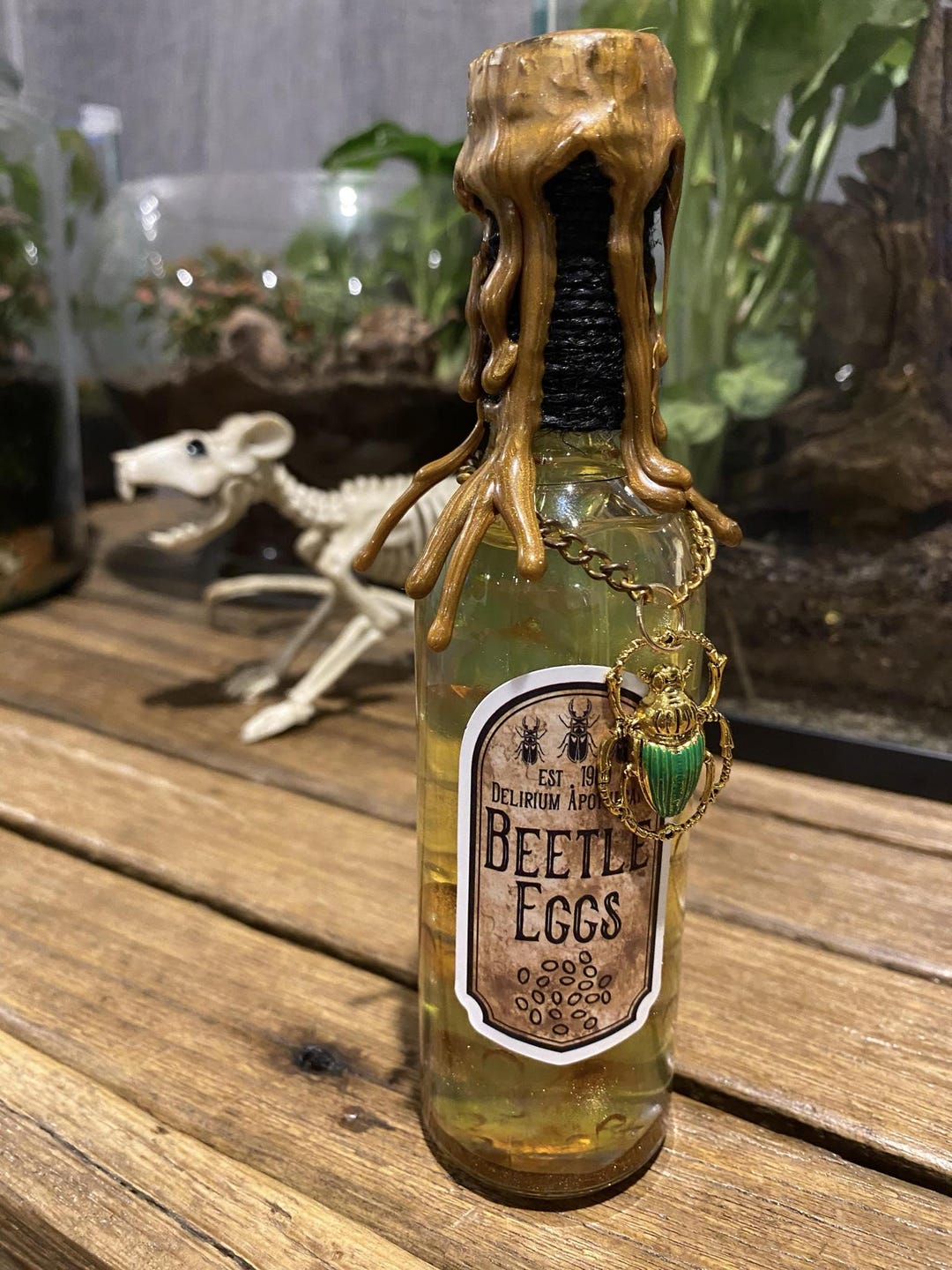 Beetle Eggs, Beetles, Apothecary, Magic Potions, Swirling Water, Magic ...
