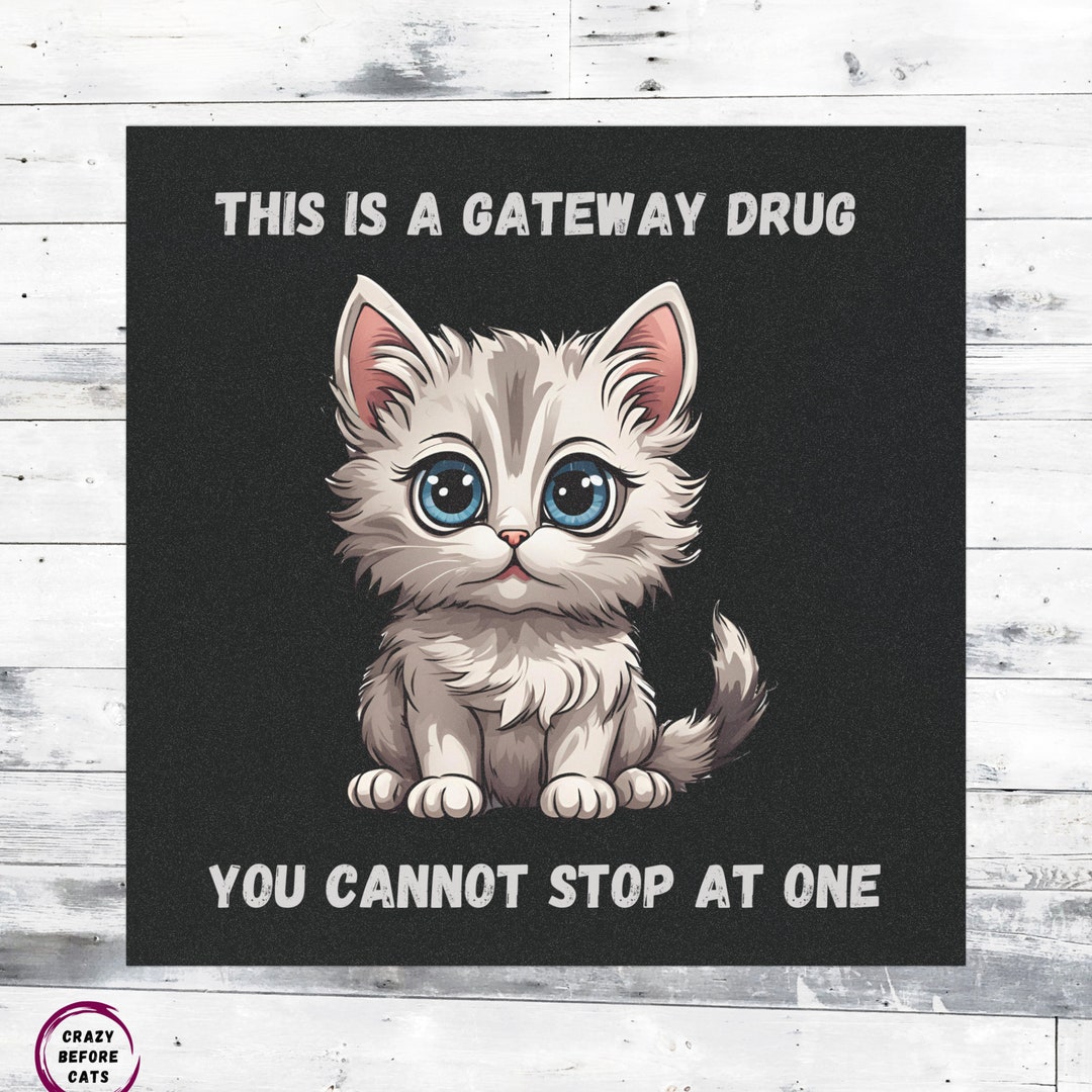 Cat Magnet, Car Magnets, Locker Refrigerator Fridge Metal Door Decor ...