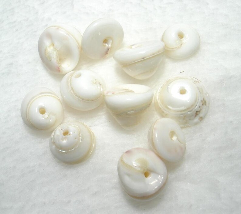 White Natural Seashell Turritella 10-15x13x18mm Beads Qty 11 - B9466 - Etsy