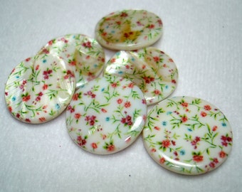 Flat Round Shell - Etsy