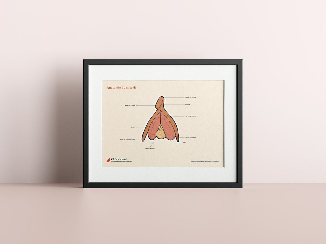 Diagram External Anatomy Of The Clitoris A4 Etsy Diagram External Anatomy Of The Clitoris A4 Etsy