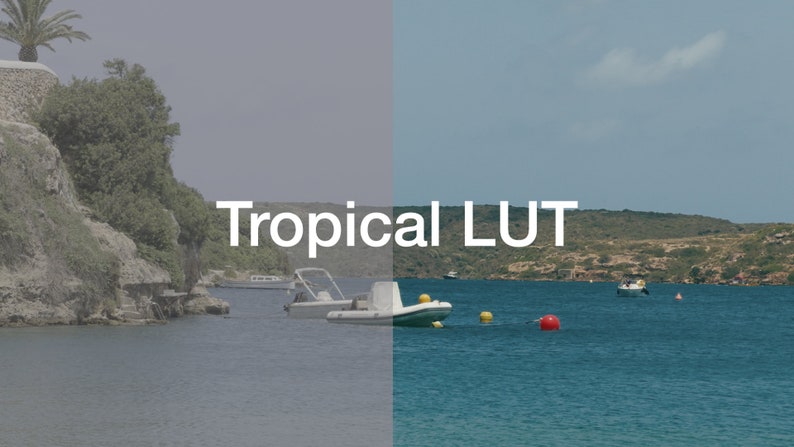 DC iPhone LUT Pack - Apple Prores Log to Rec709 + Free LUT - iPhone 16 ...