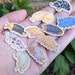 Isopods Vinyl Stickers - 10 Species Variants, Roly Poly, Pill Bug ...