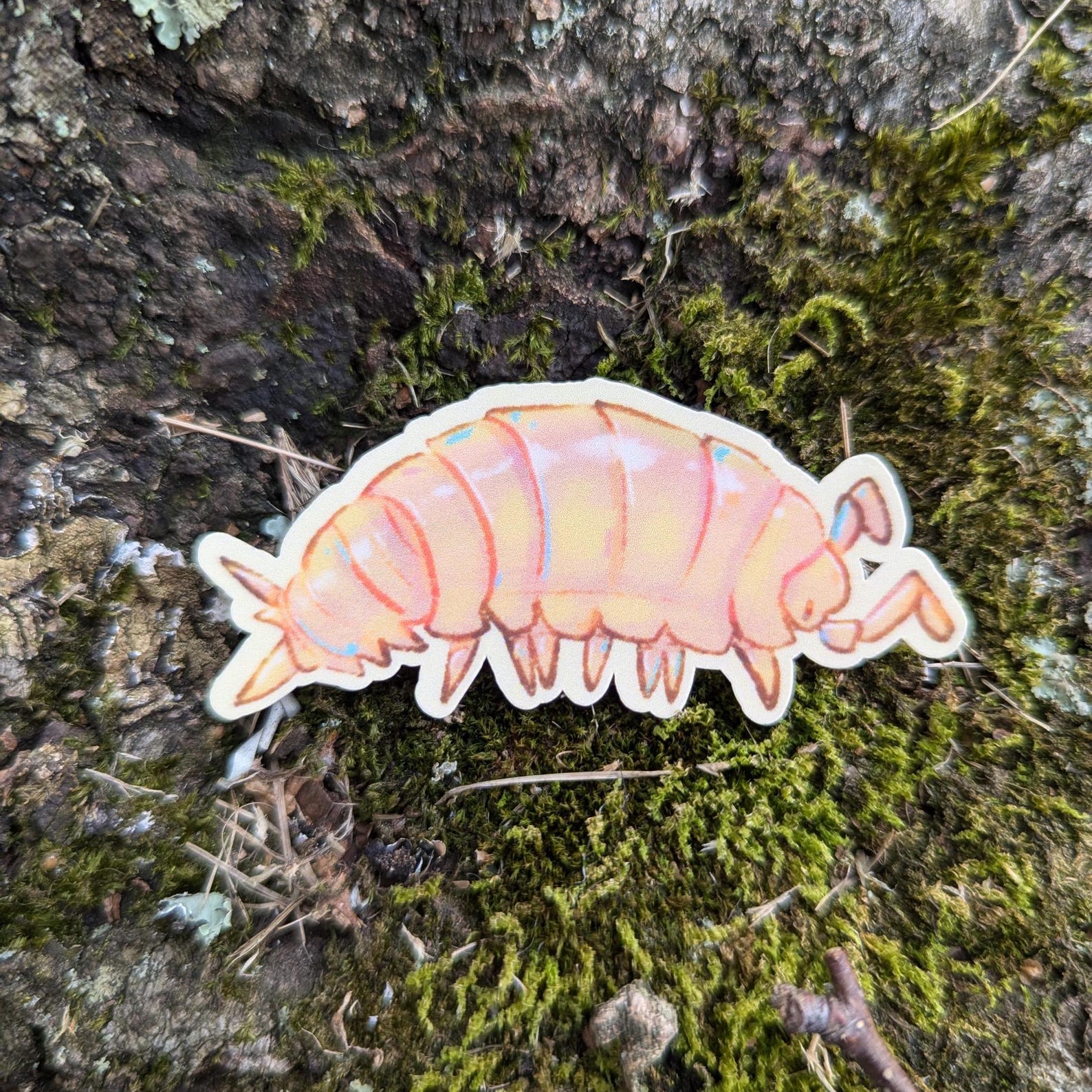 Isopods Vinyl Stickers - 10 Species Variants, Roly Poly, Pill Bug ...