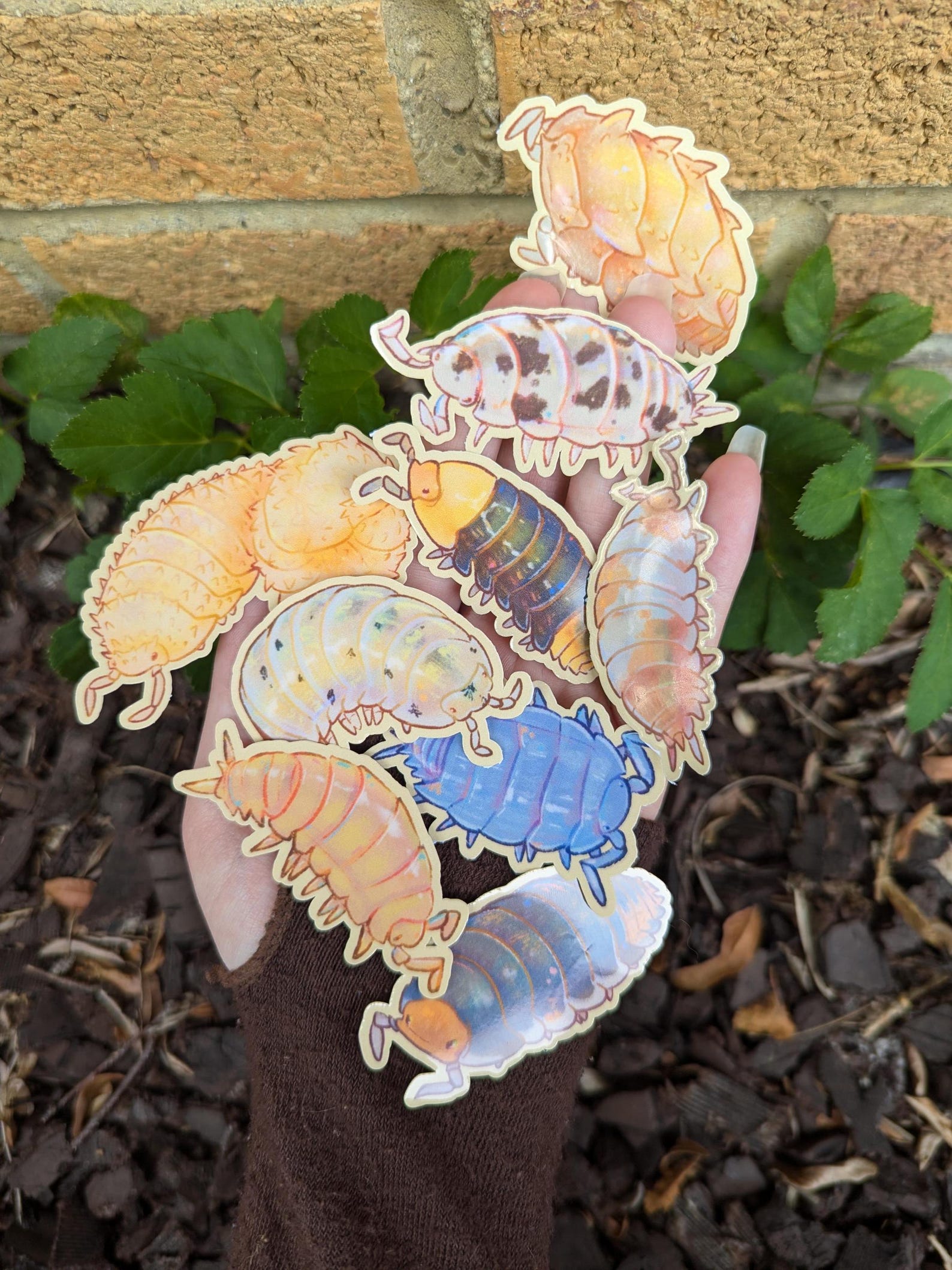 Isopods Vinyl Stickers - 10 Species Variants, Roly Poly, Pill Bug ...