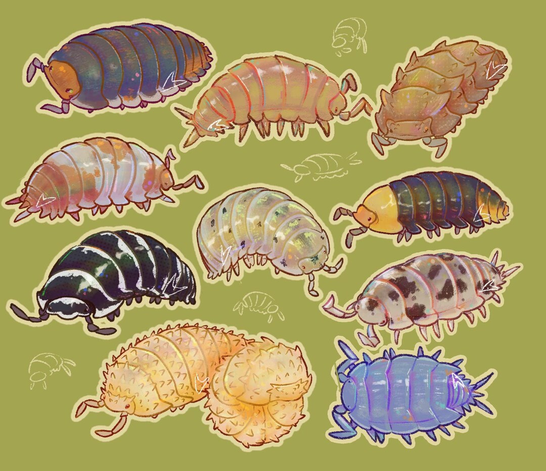 Isopods Vinyl Stickers 10 Species Variants, Roly Poly, Pill Bug Sticker ...