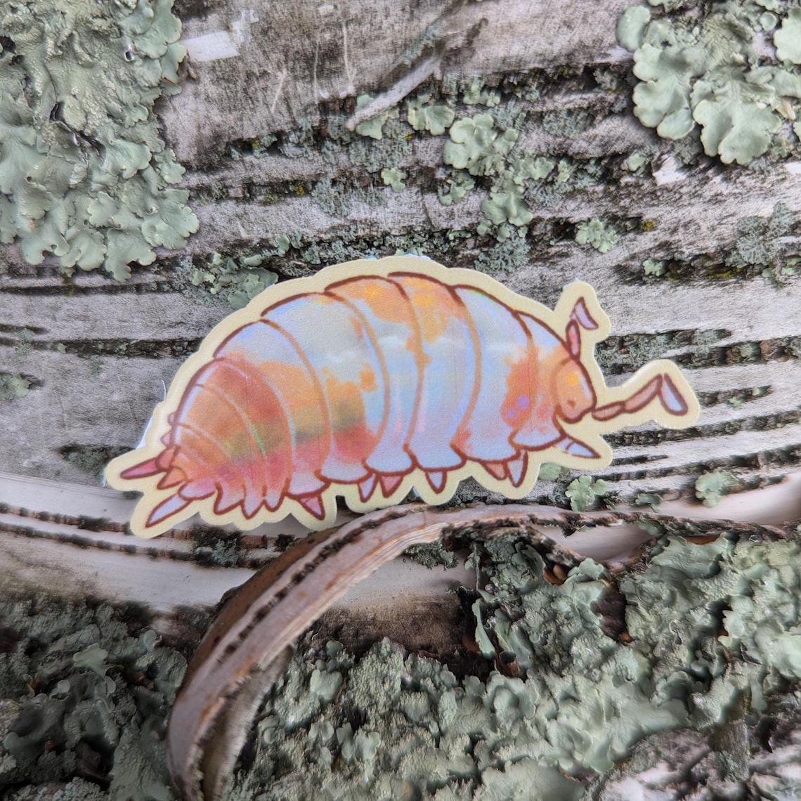 Isopods Vinyl Stickers 10 Species Variants, Roly Poly, Pill Bug Sticker ...