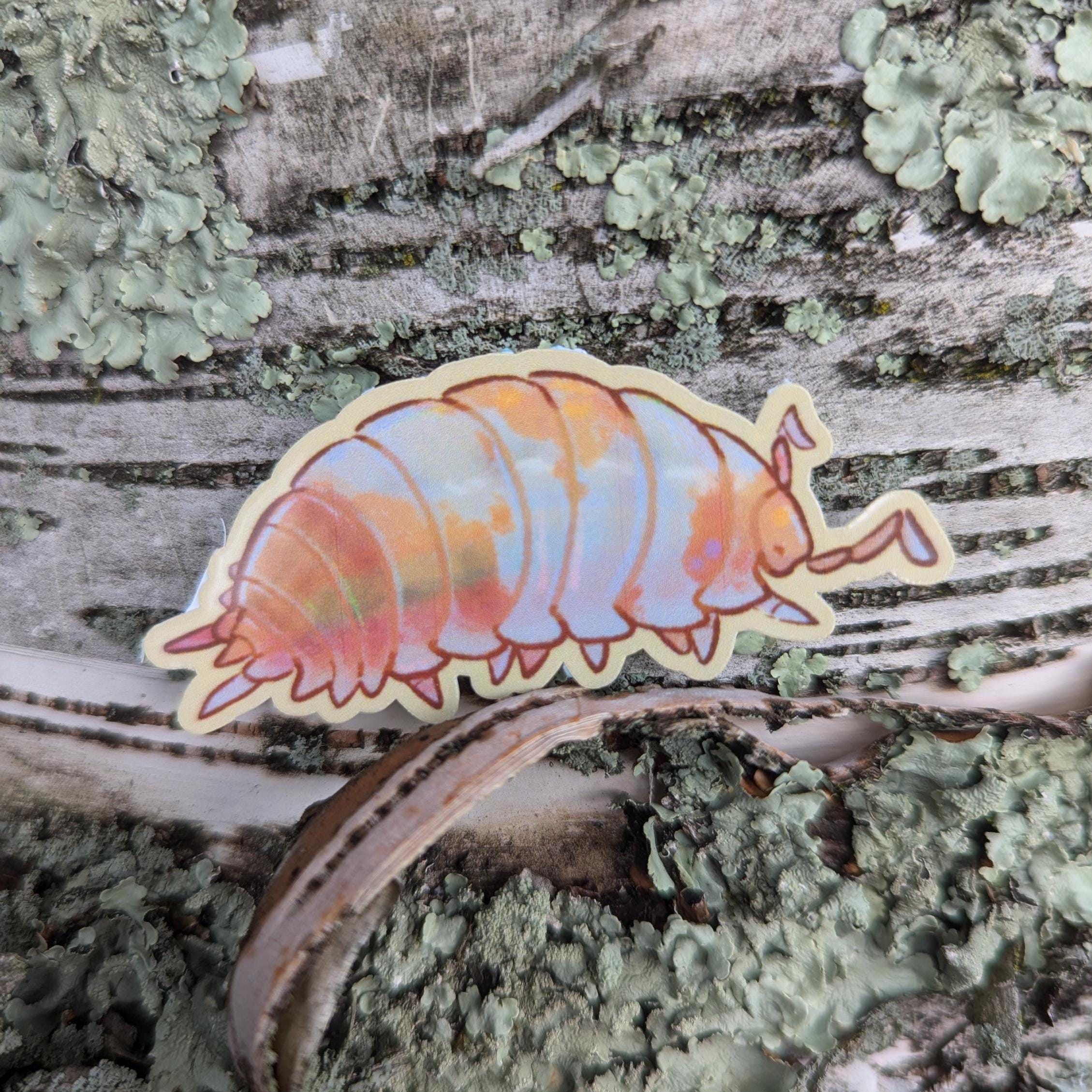 Isopods Vinyl Stickers 10 Species Variants, Roly Poly, Pill Bug Sticker ...