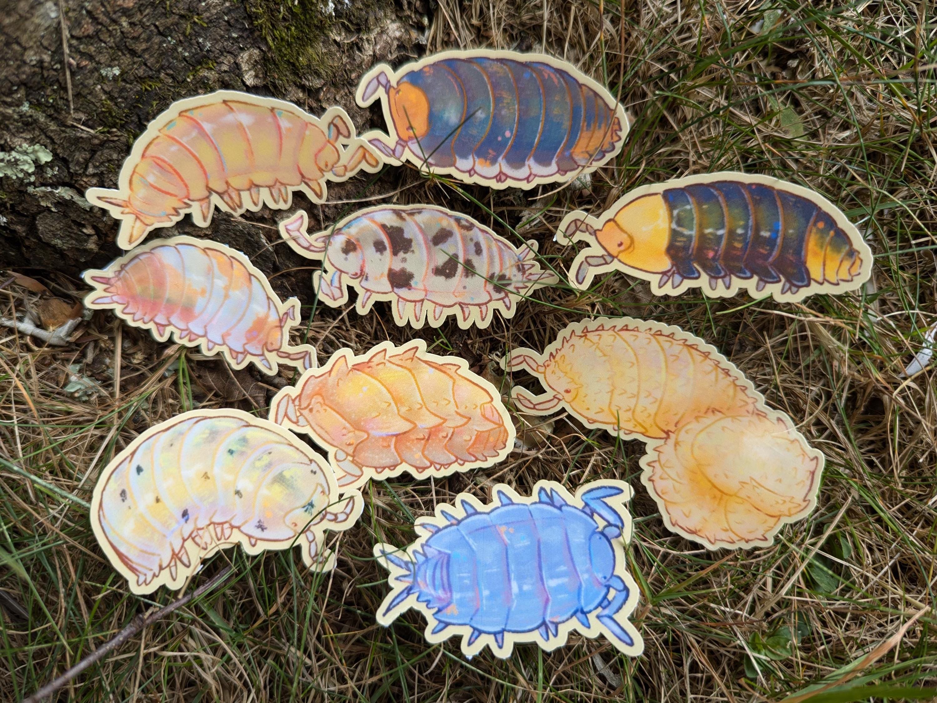 Isopods Vinyl Stickers 10 Species Variants, Roly Poly, Pill Bug Sticker ...