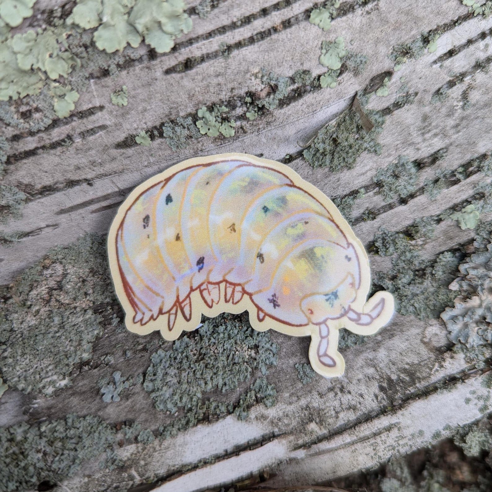 Isopods Vinyl Stickers 10 Species Variants, Roly Poly, Pill Bug Sticker ...