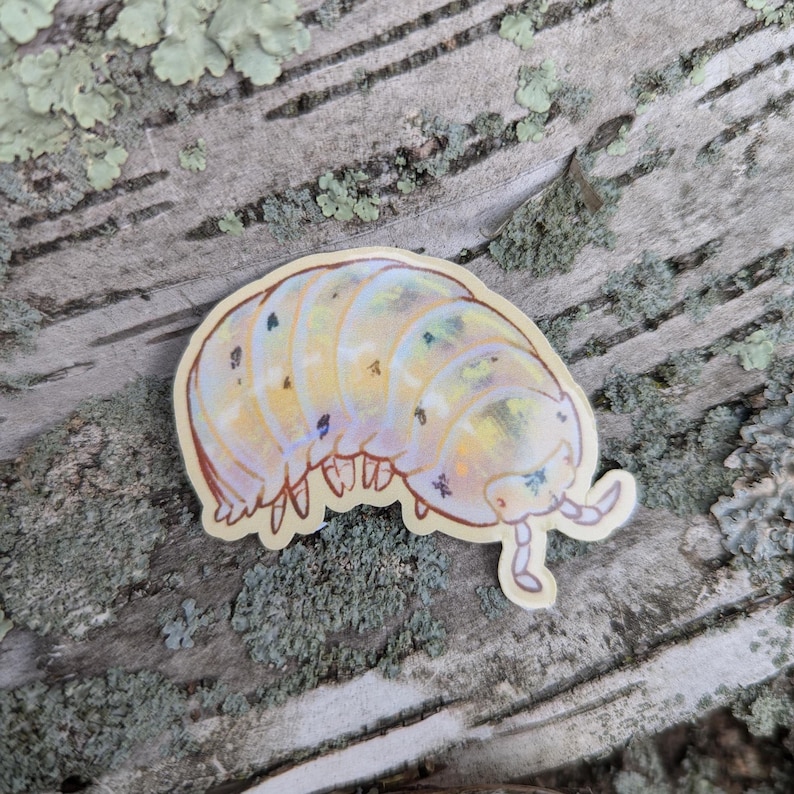 Isopods Vinyl Stickers 10 Species Variants, Roly Poly, Pill Bug Sticker ...