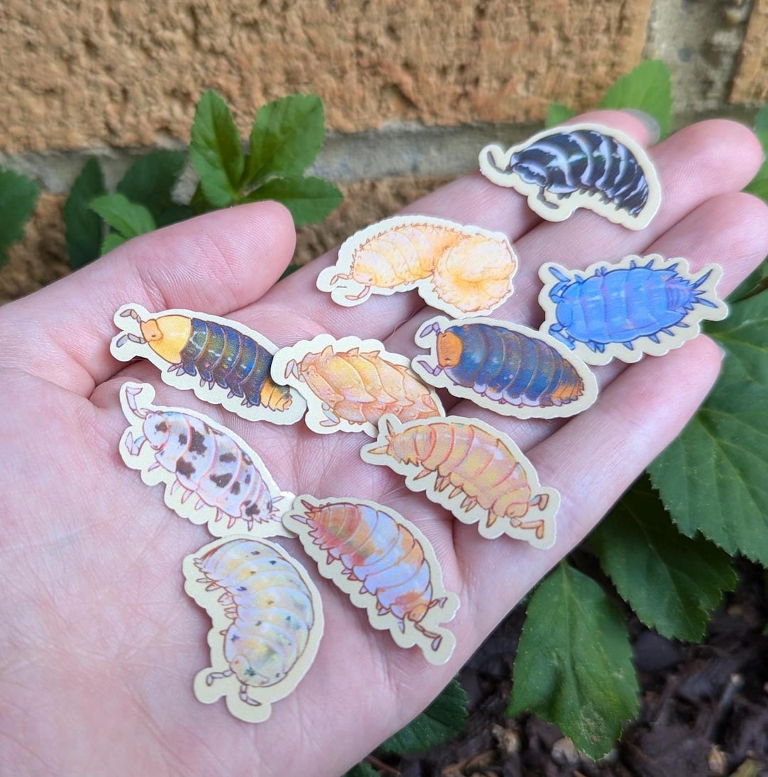 Isopods Mini Stickers - Small Vinyl Stickers 10 Pack - Etsy