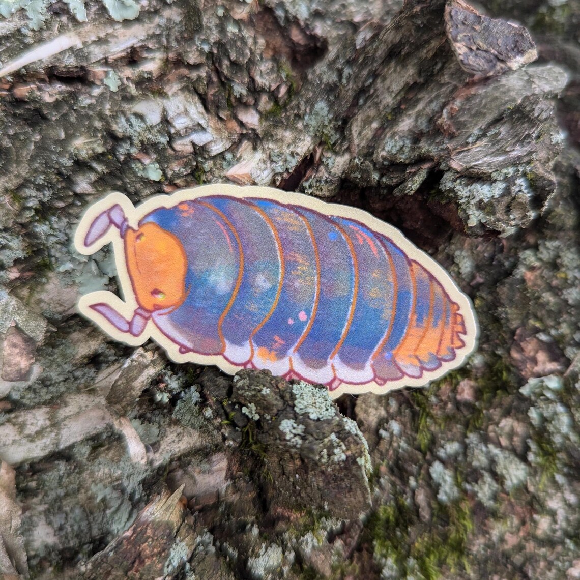 Isopods Vinyl Stickers 10 Species Variants, Roly Poly, Pill Bug Sticker ...