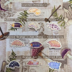 Isopods Vinyl Stickers - 10 Species Variants, Roly Poly, Pill Bug ...