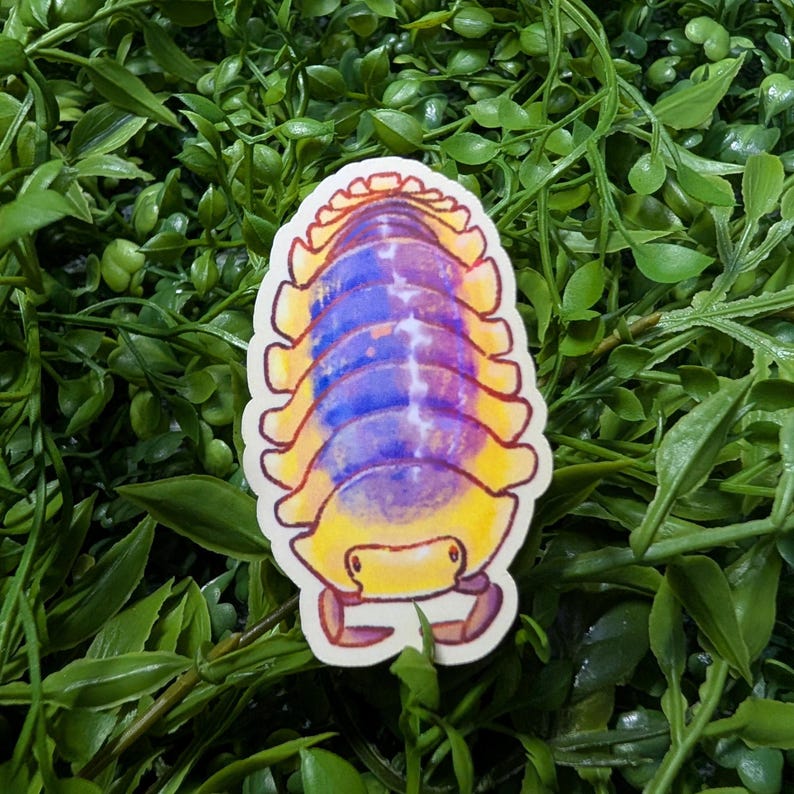 Isopods Vinyl Stickers Series 2 - 10 Species Variants, Roly Poly, Pill ...