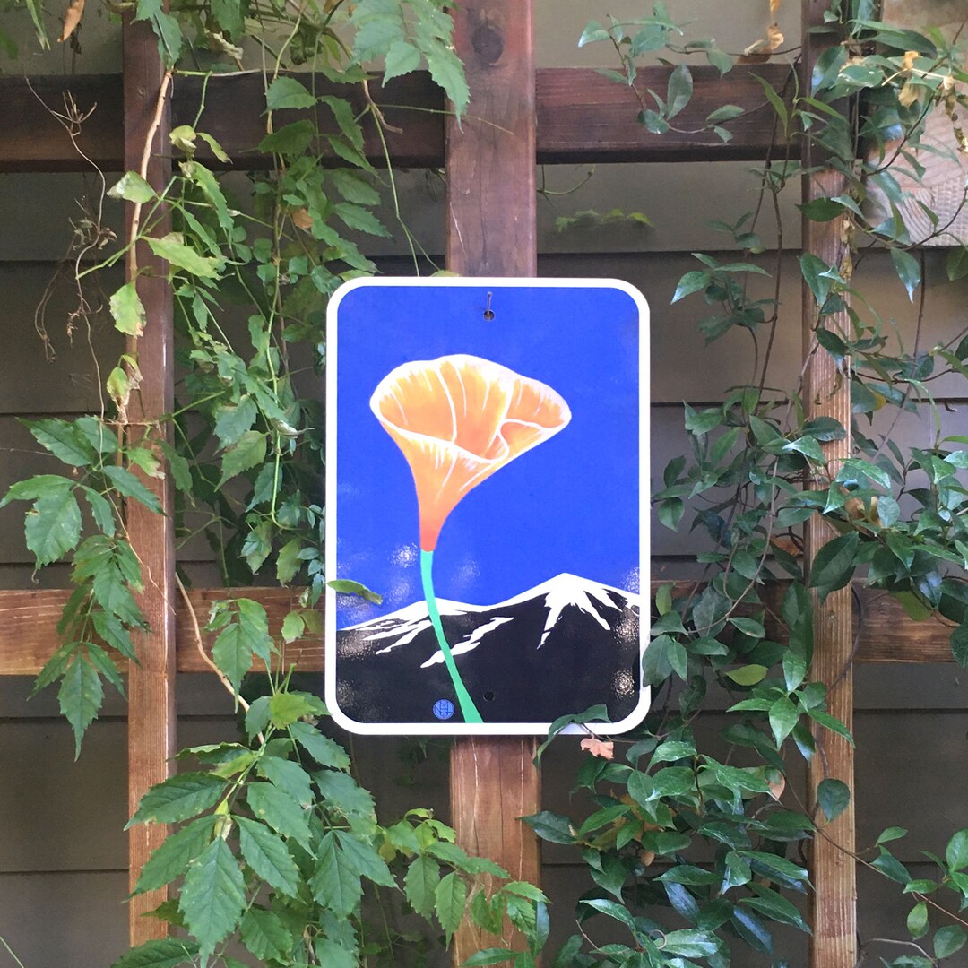 18" X 12" Scenic Route | Metal Art Sign With California Poppy | Indoor ...