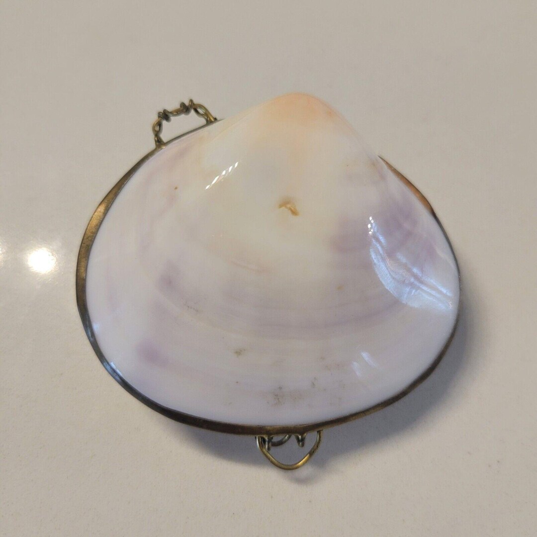 Vintage Real Shell Hinged Trinket Box Pill Box Coin Pouch MCM Treasure ...