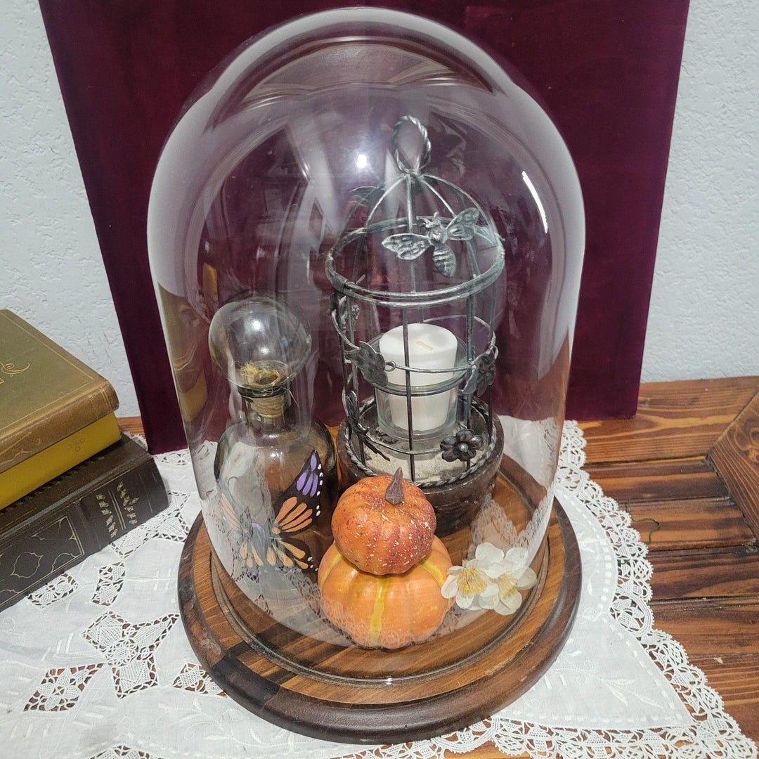13x9 Glass Dome Bell Jar Cloche Specimen Display Case Wood Base Clear ...