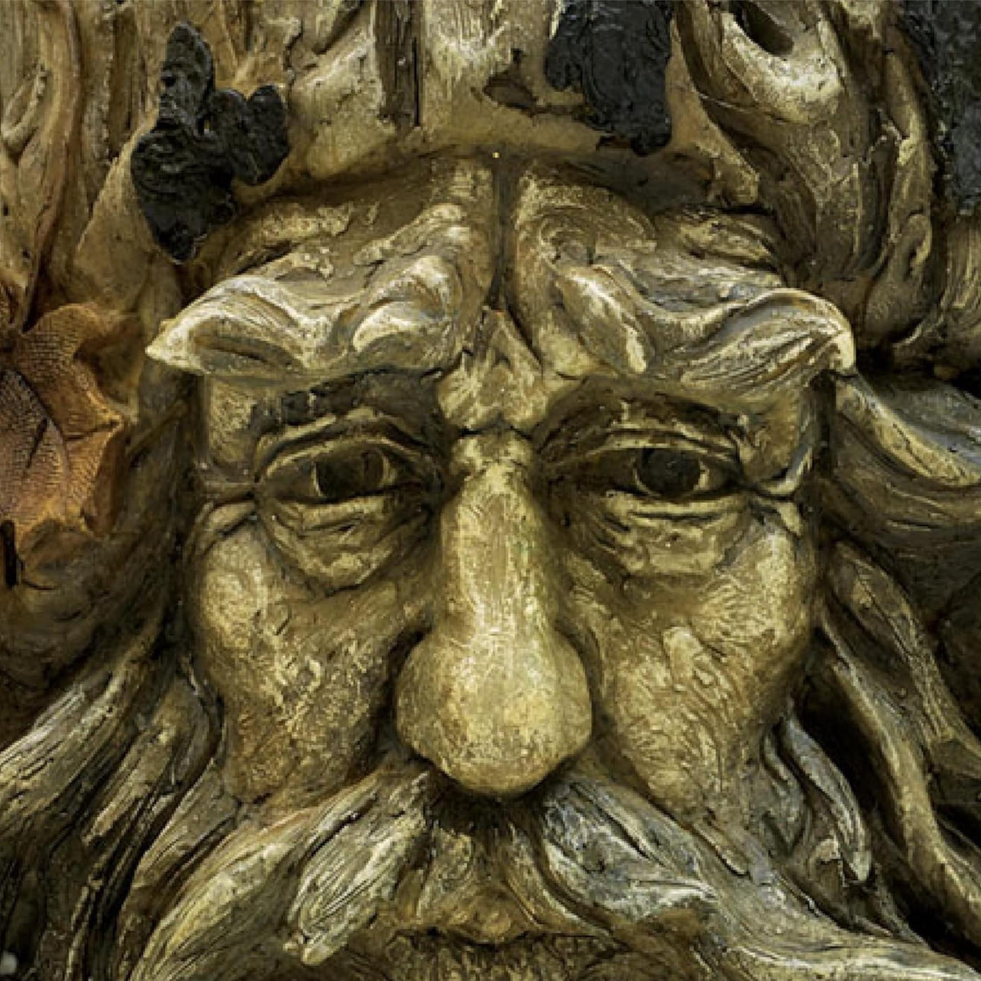 Whimsical Tree Face Sculpture Old Man Tree Hanging Flower Planter-yard ...