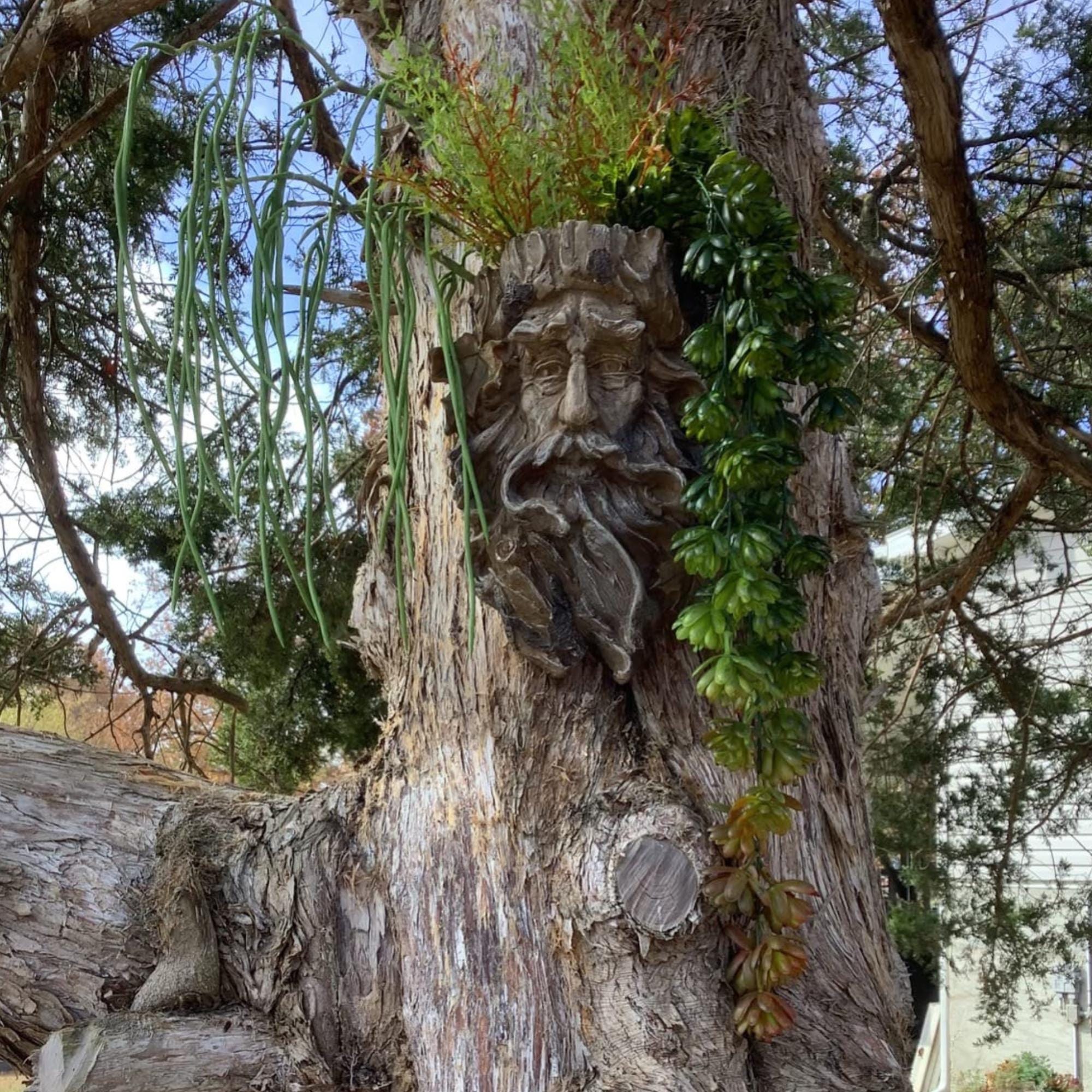 Whimsical Tree Face Sculpture Old Man Tree Hanging Flower Planter-yard ...
