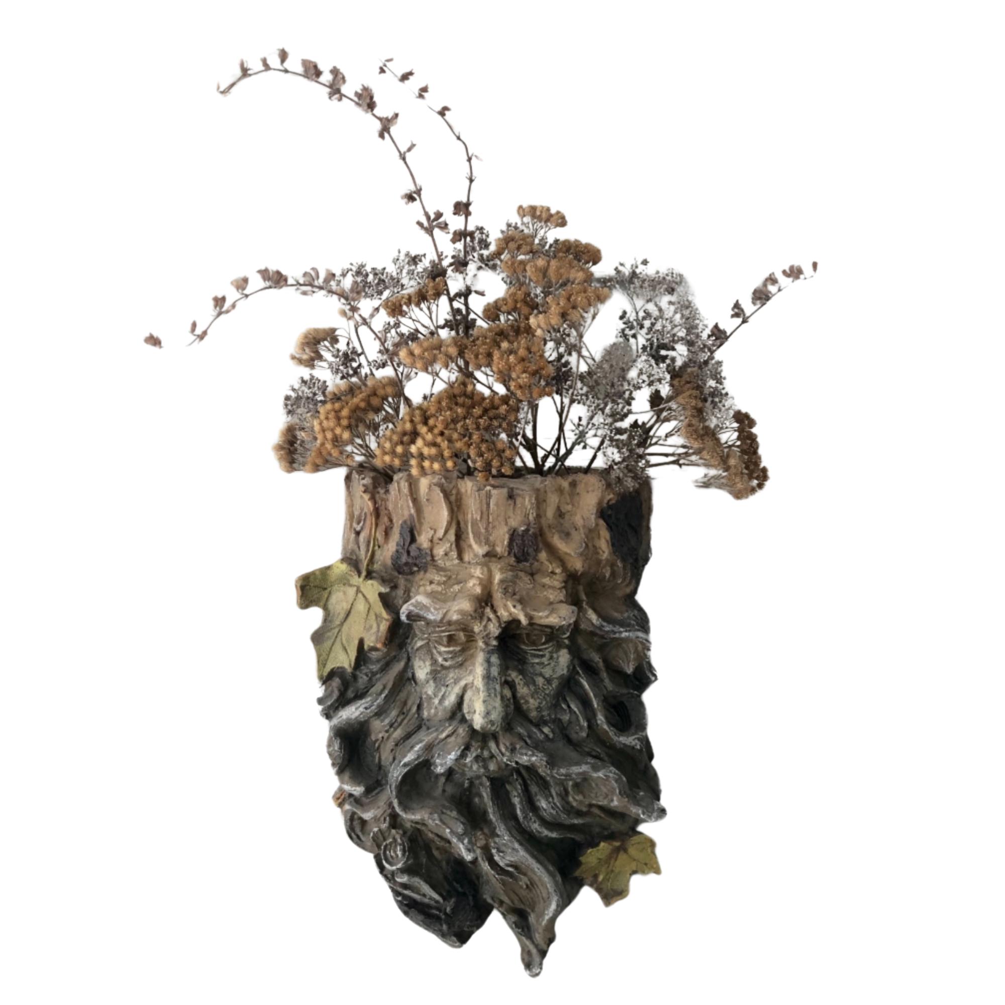 Whimsical Tree Face Sculpture Old Man Tree Hanging Flower Planter-yard ...
