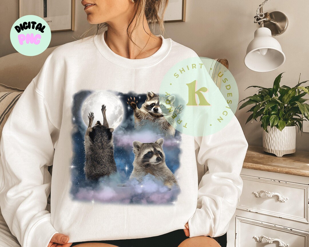 Cute Raccoon Moon Phases PNG, Adorable Raccoons Clipart, Night Sky ...