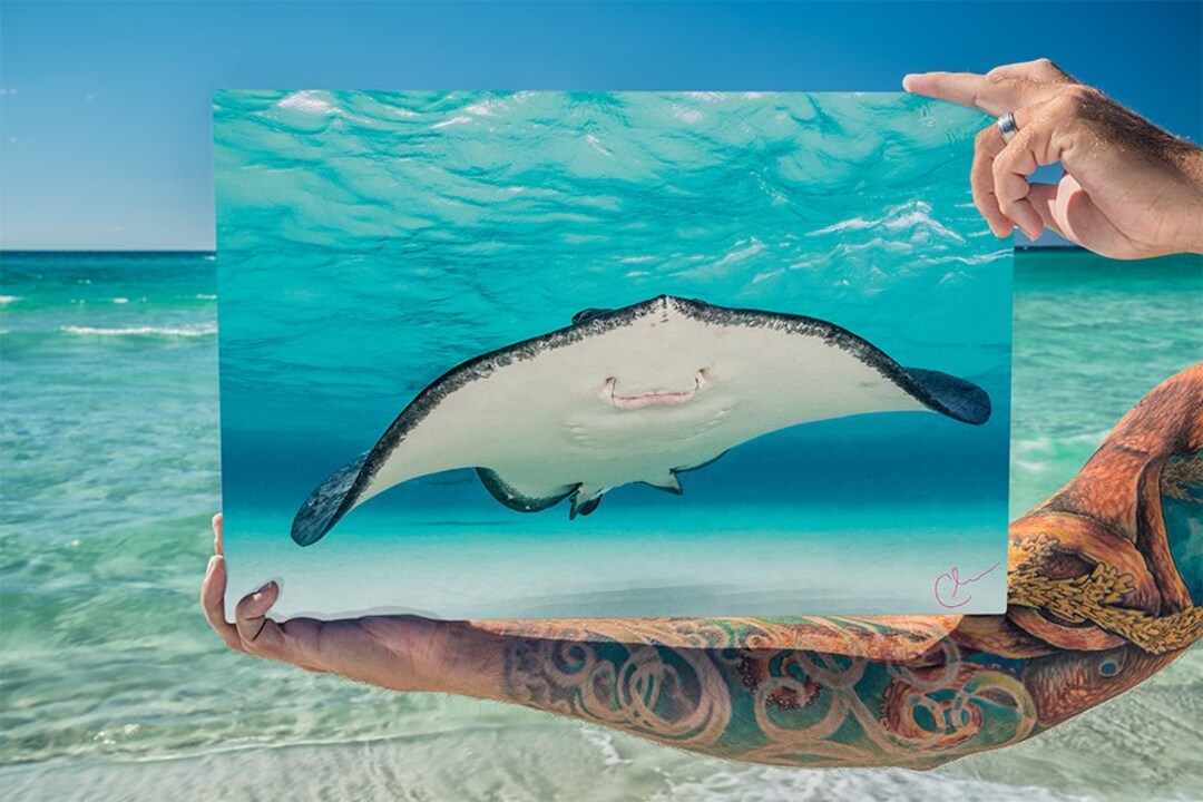 Smiling Ray: Portrait of a Stingray Smile, Original Underwater ...