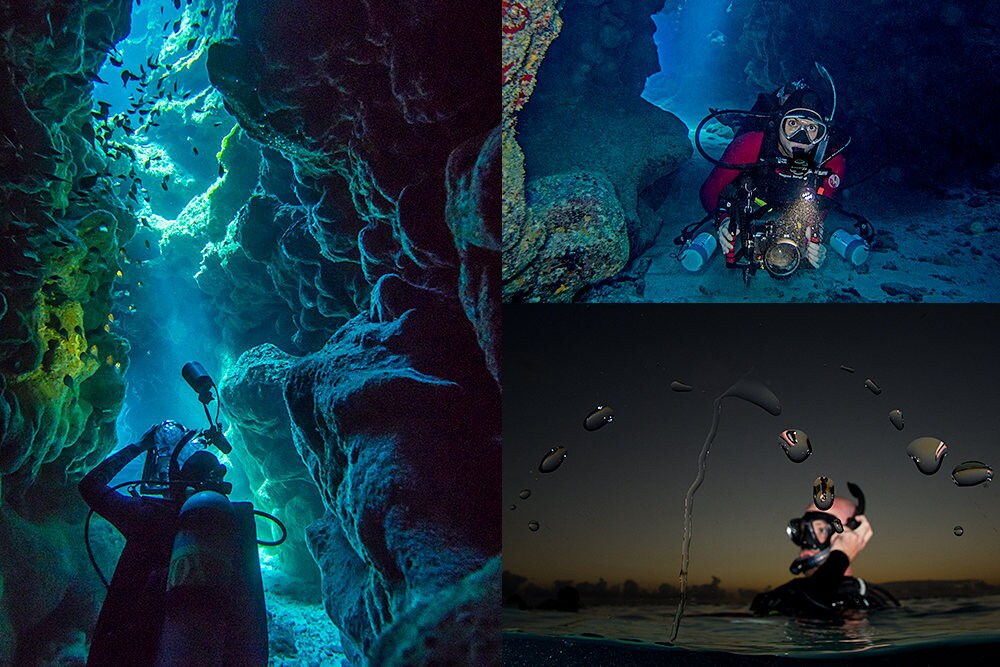 Smiling Ray: Portrait of a Stingray Smile Original Underwater - Etsy