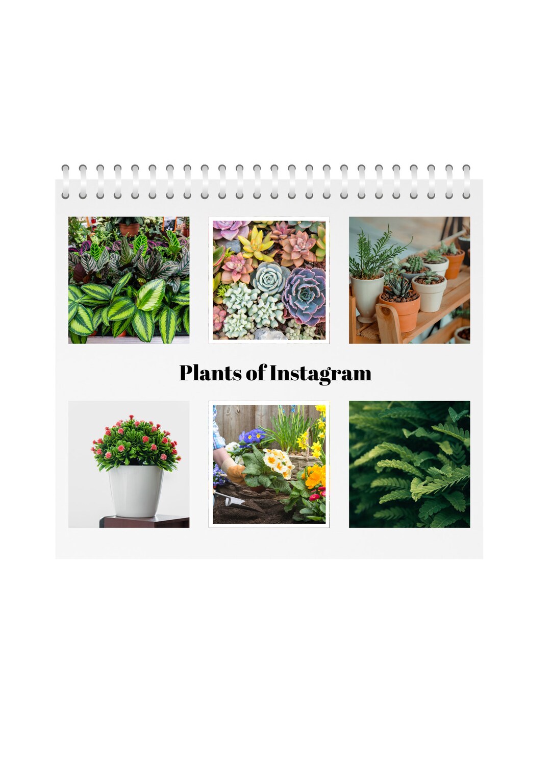 Plants of Instagram Calender 2025 - Etsy