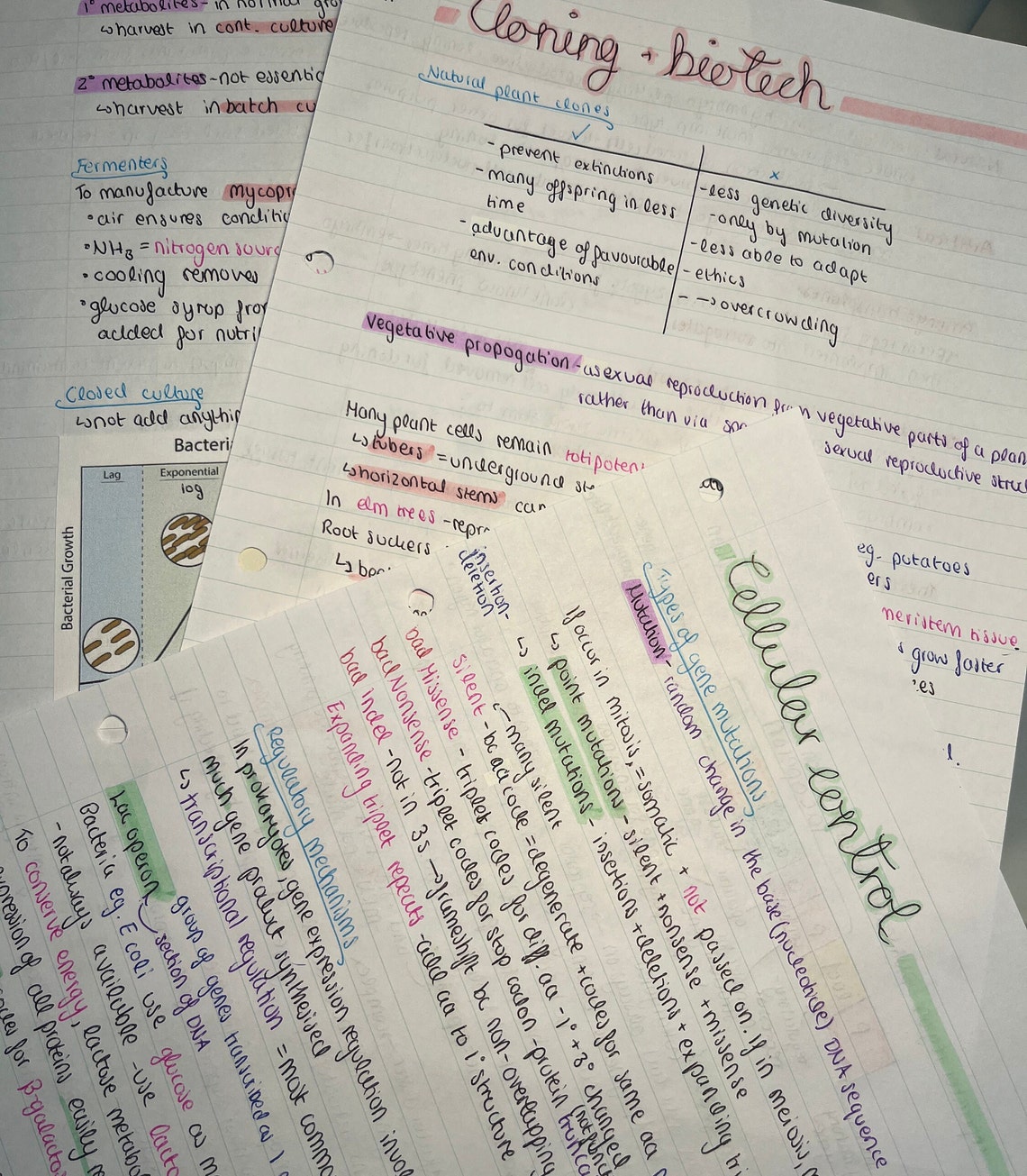 OCR A Biology Module 6 Revision Resources - Etsy