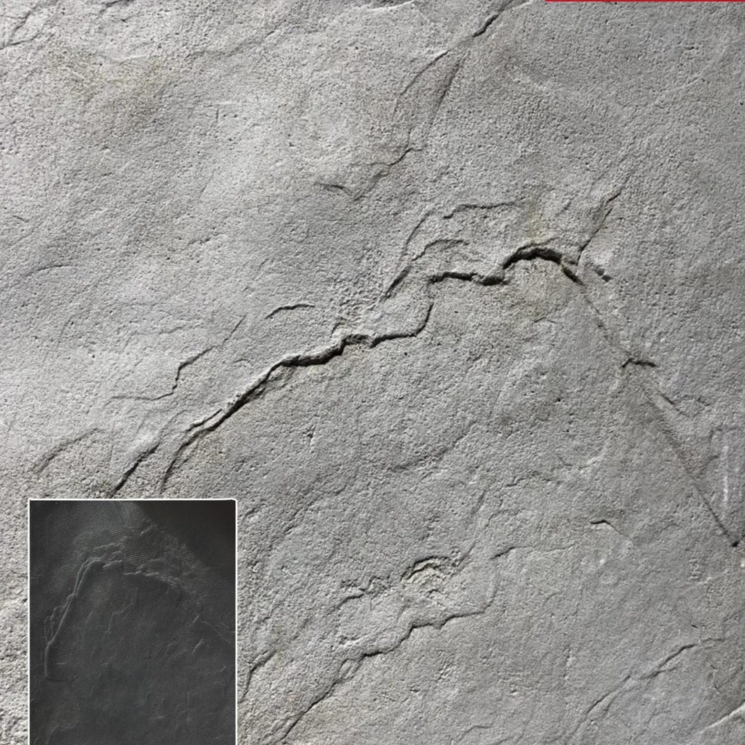 Stone Molds for Faux Wall: Concrete Stone Texture Stamps, 3D Panels ...