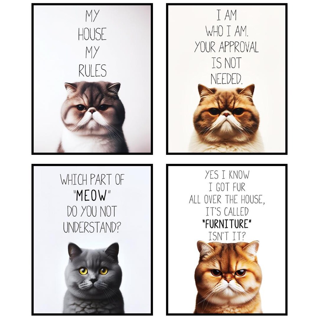 Posterizer 4 Pcs - Funny Art - Cute Grumpy Cat Sayings for Cat Lovers ...