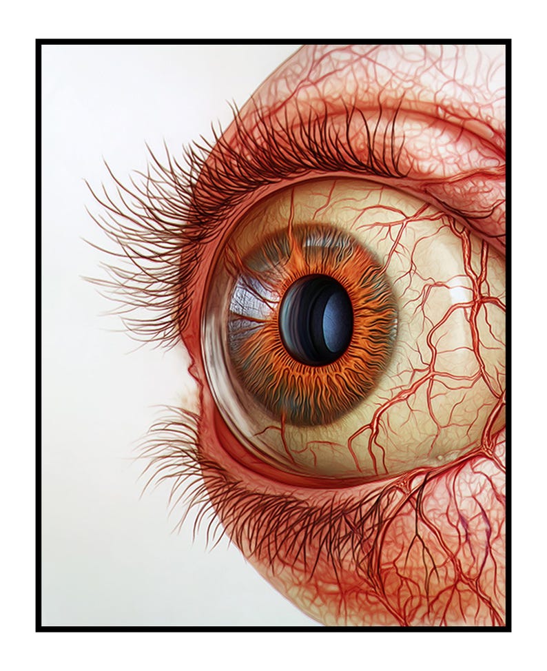 Anatomy Posters Set: Detailed Human Body Prints (digital Download ...