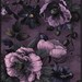 Posterizer 1 Pcs - Wild Purple Flowers and Background - Ferly Chic Art ...