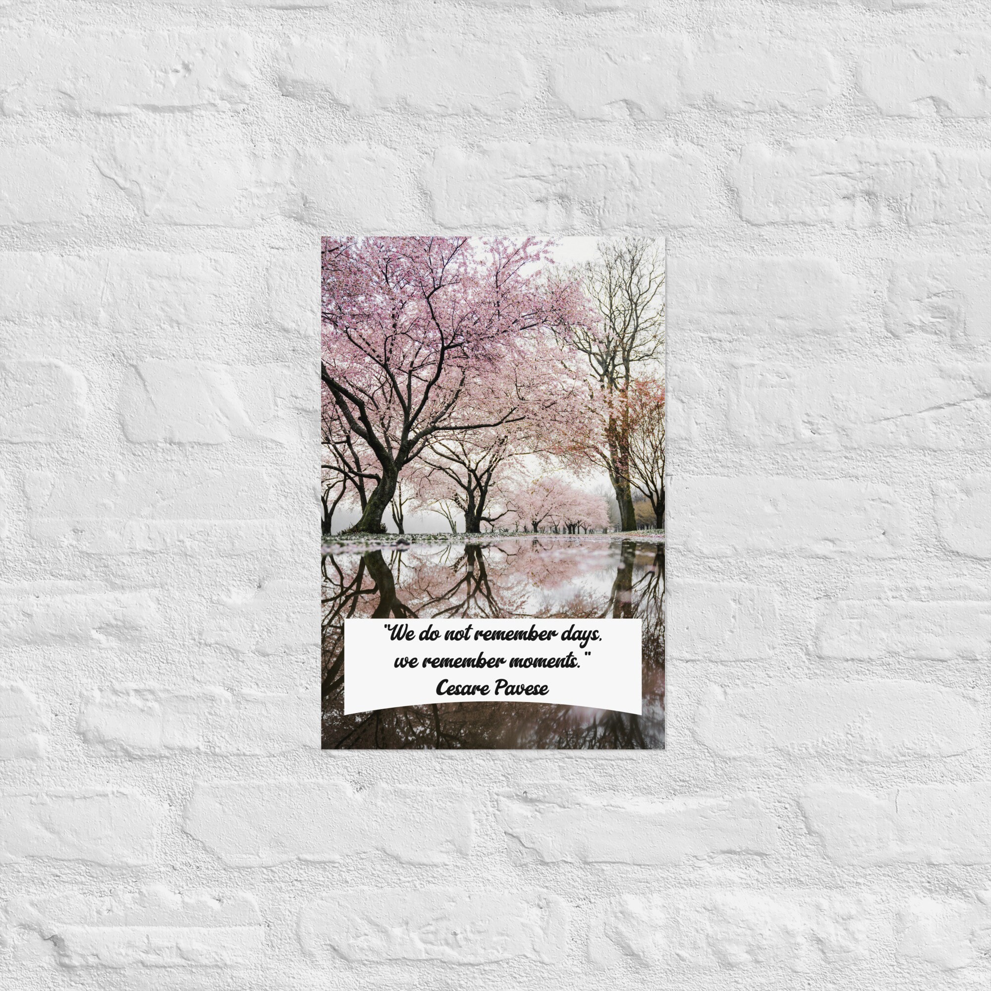 Cherry Blossom Reflection Poster With Cesare Pavese Quote Inspirational ...