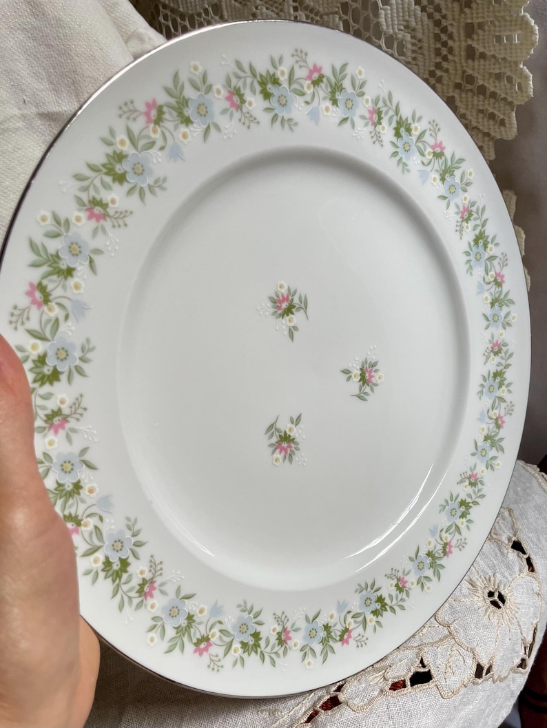 Johann Haviland Floral Dinner Plates (set of 2) | Cottagecore China - Etsy