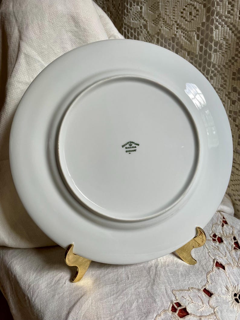Johann Haviland Floral Dinner Plates (set of 2) | Cottagecore China - Etsy